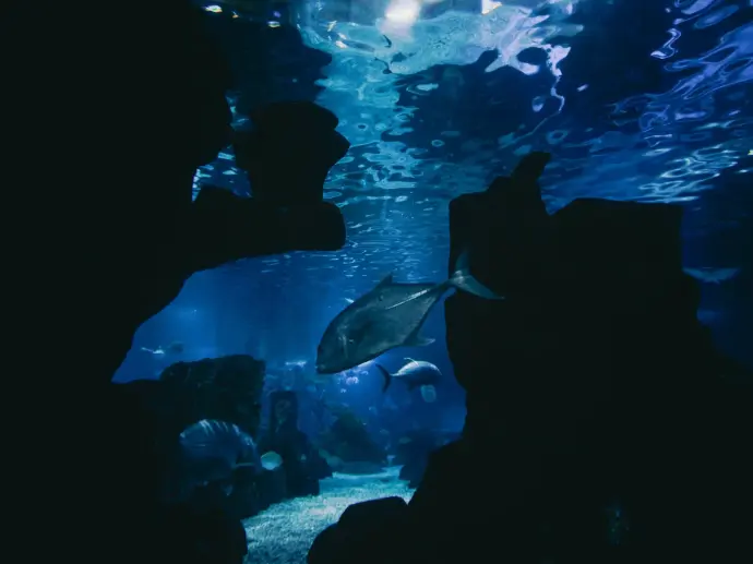 Field Trips | Woodbridge Aquarium & Wildlife Center